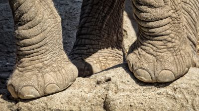 Photography as a Spiritual Path - Hacking Photography