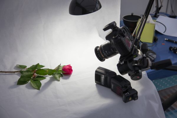 Photographing Flowers: 10 Tips to Capture Beauty in every shot