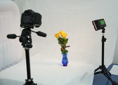 Photographing Flowers: 10 Tips to Capture Beauty in every shot
