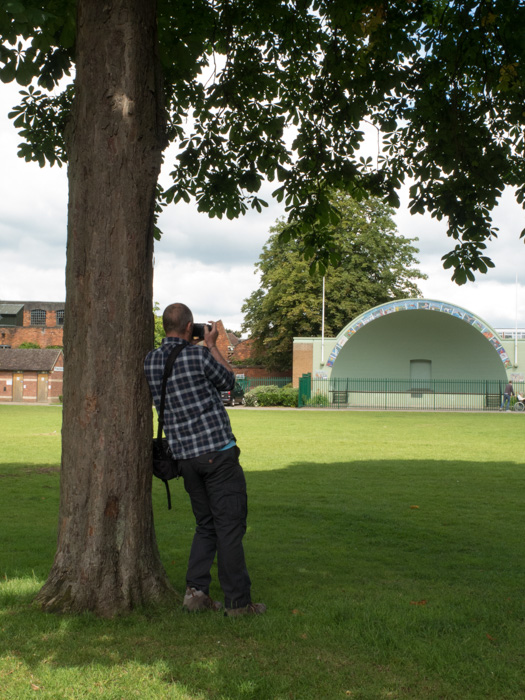 A walk in the park: 7 tips to inspire you to look with fresh eyes ...