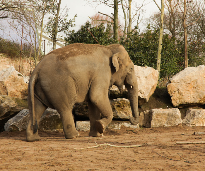 6 tips to instantly improve composition