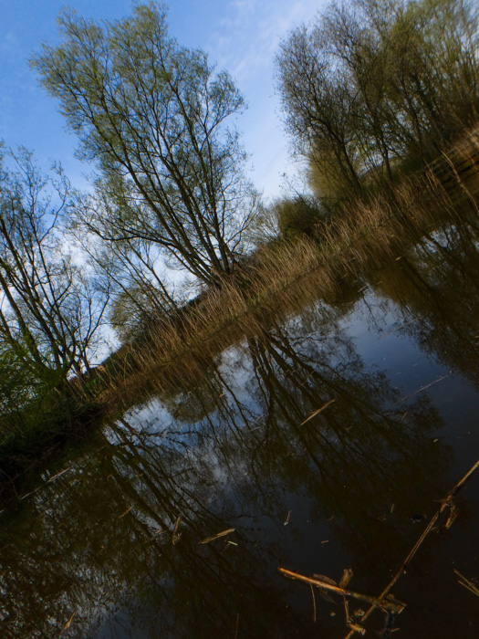 Fun composition - A week of Quirky shots to inspire. - Hacking Photography